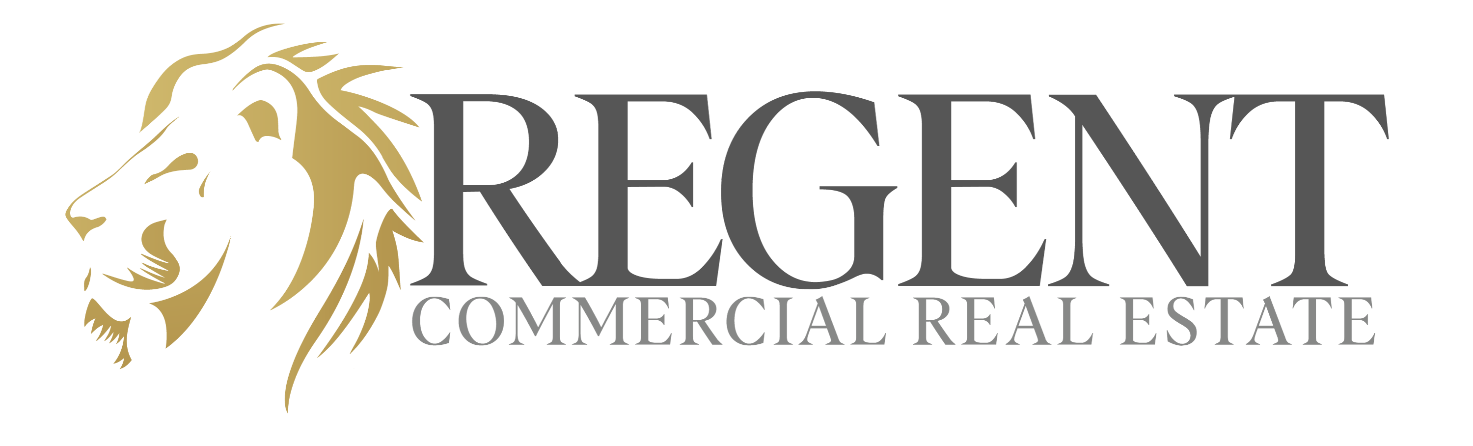 Real Estate Broker in Fort Mill - Regent Commercial Real Estate Fort ...