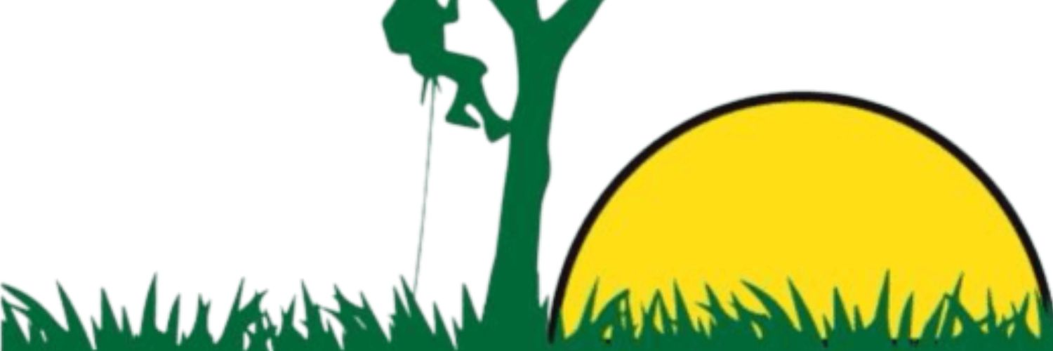 Landscaping & Fences Services in Peabody - Luca Tree Service - GLinkco